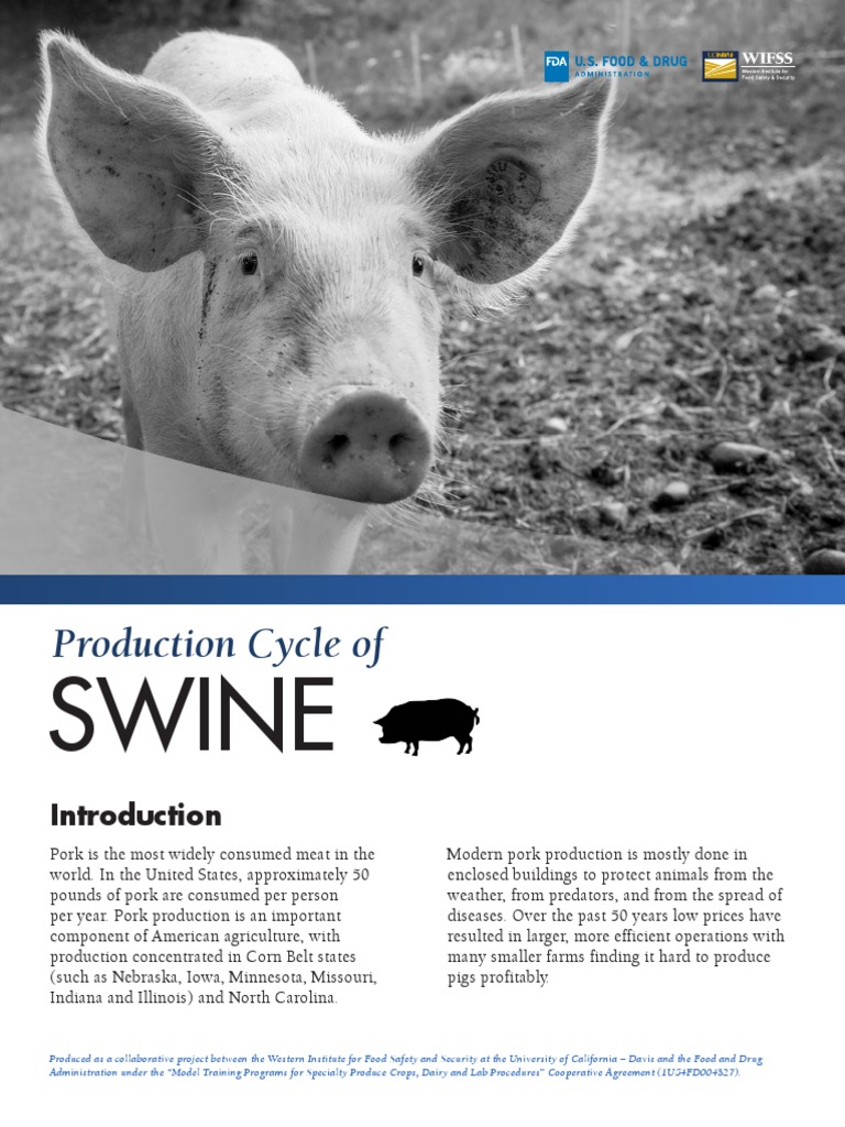 Animalclass Swine FINAL | PDF | Domestic Pig | Wild Boar