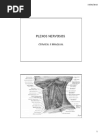 Nomes de 100 Músculos Do Corpo Humano | PDF | Sistema Locomotor ...