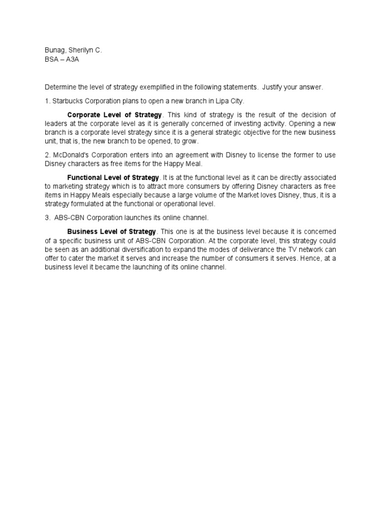 Assignment 1 - Levels of Strategy | PDF