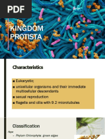 Types of Insect Wings Explained | PDF | Arthropods | Hexapoda