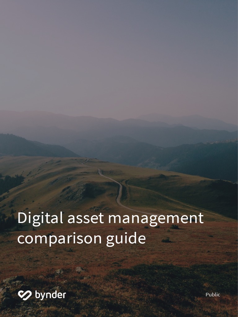 Digital Asset Management Comparison Guide: Public | PDF | Metadata ...