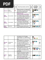 Tree Identification Cards | PDF | Flora | Trees