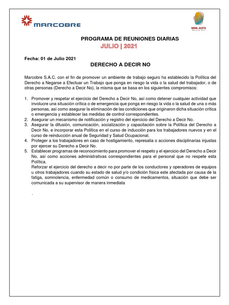 Programa de Charlas Diarias Seguridad | PDF | Residuos | Vertedero