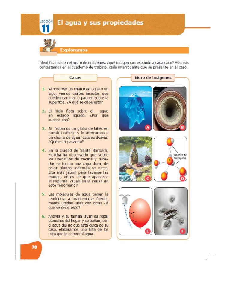 Lección 11. - El Agua y Sus Propiedades | PDF