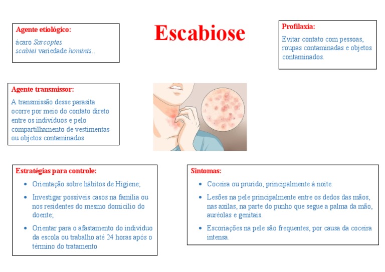 Mapa Mental Escabiose | PDF
