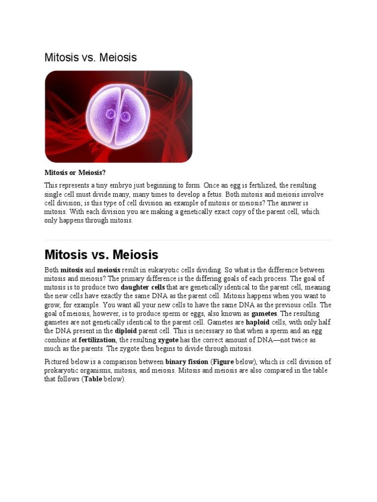Mitosis Vs Meiosis Reading | PDF | Meiosis | Ploidy