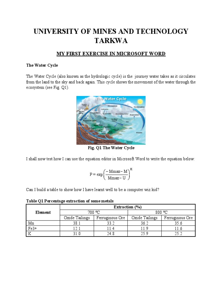 MS Word Exercise | PDF