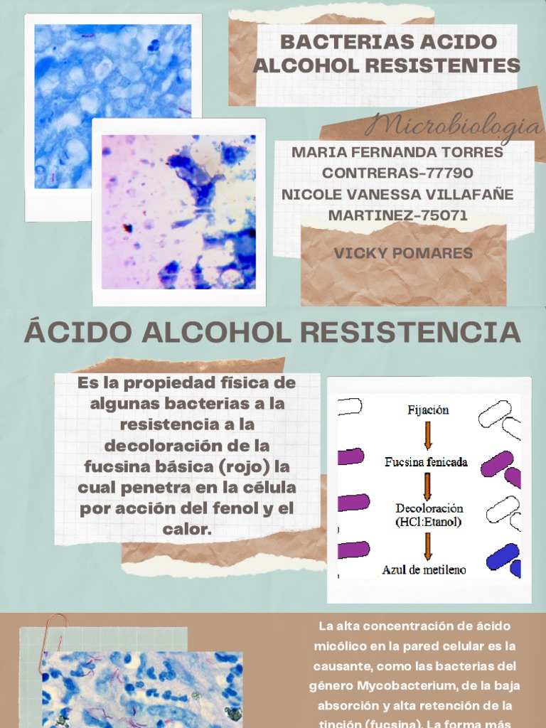 Bacterias Acido Alcohol Resistentes | PDF | Mycobacterium | Pared celular