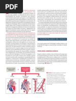 Sindrome de Reposo Prolongado 1 | PDF | Hueso | Músculo