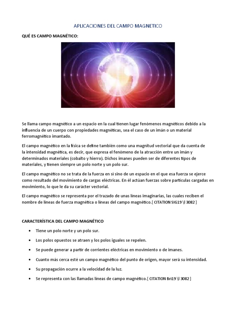 Aplicaciones Del Campo Magnetico | PDF