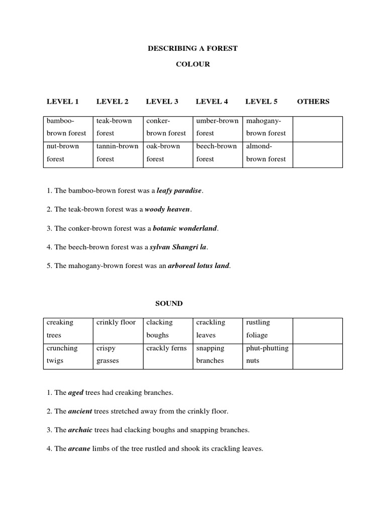 Describing A Forest Colour: Sound | PDF | Trees | Plants