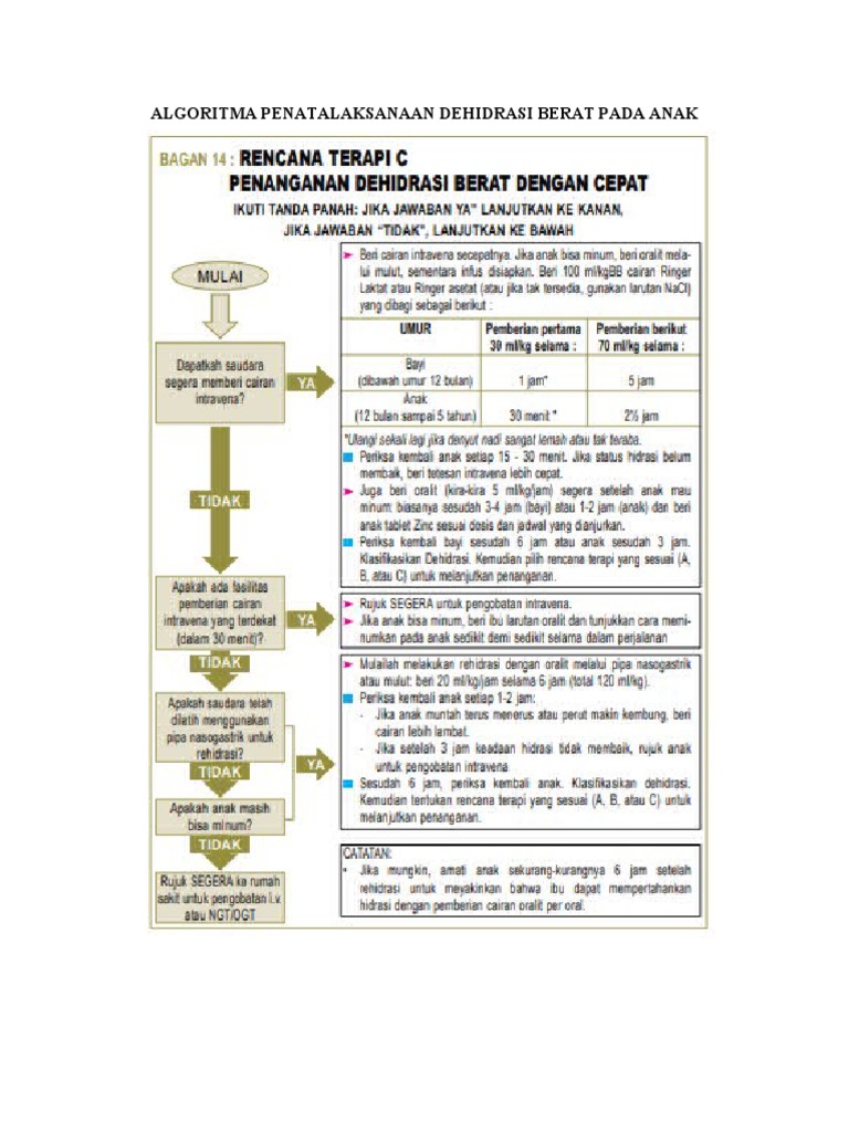 Langkah-langkah Penting dalam Mengatasi Dehidrasi Berat pada Anak | PDF