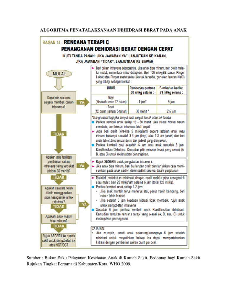 Algoritma Penatalaksanaan Dehidrasi Berat Pada Anak | PDF
