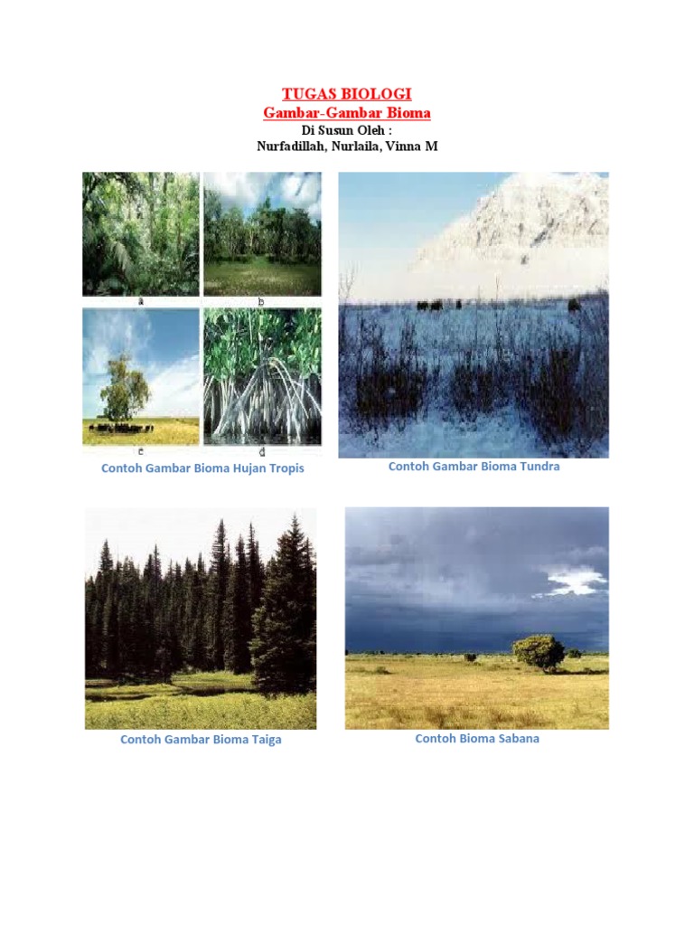 Contoh Gambar Gambar Bioma | PDF