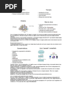 Lenguaje Lua | PDF | Paradigmas de programación | Programación de ...