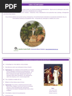 RUSARIRIO | PDF | Religion & Spirituality