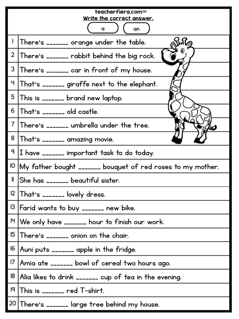 Year 5 Exercise (A or An) | PDF