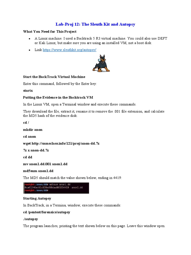 Lab-Proj 12: The Sleuth Kit and Autopsy | PDF | Button (Computing) | Computer File
