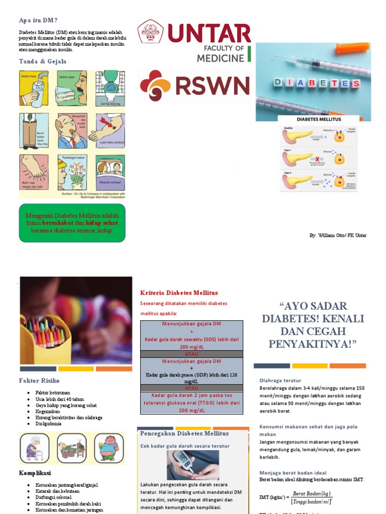 Brochure Dm Pdf