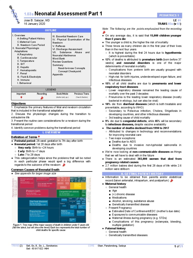 Neonatal Assessment Guide: Key Insights | PDF | Fetus | Heart