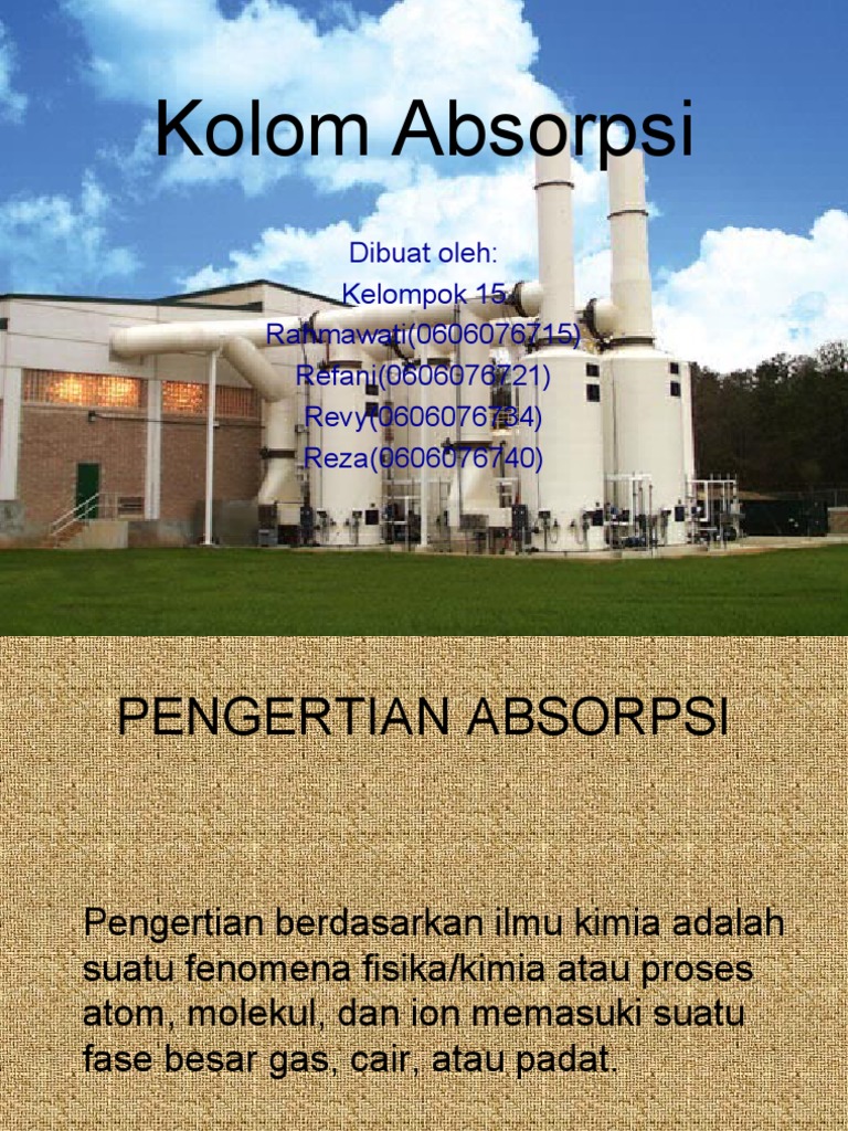 Presentasi Kolom Absorpsi | PDF