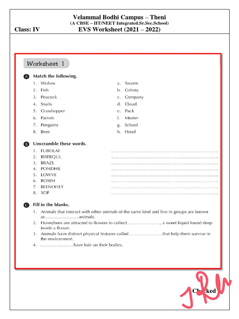 EVS Worksheet for Class IV - Velammal | PDF
