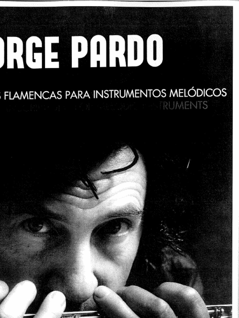 Jorge Pardo | PDF