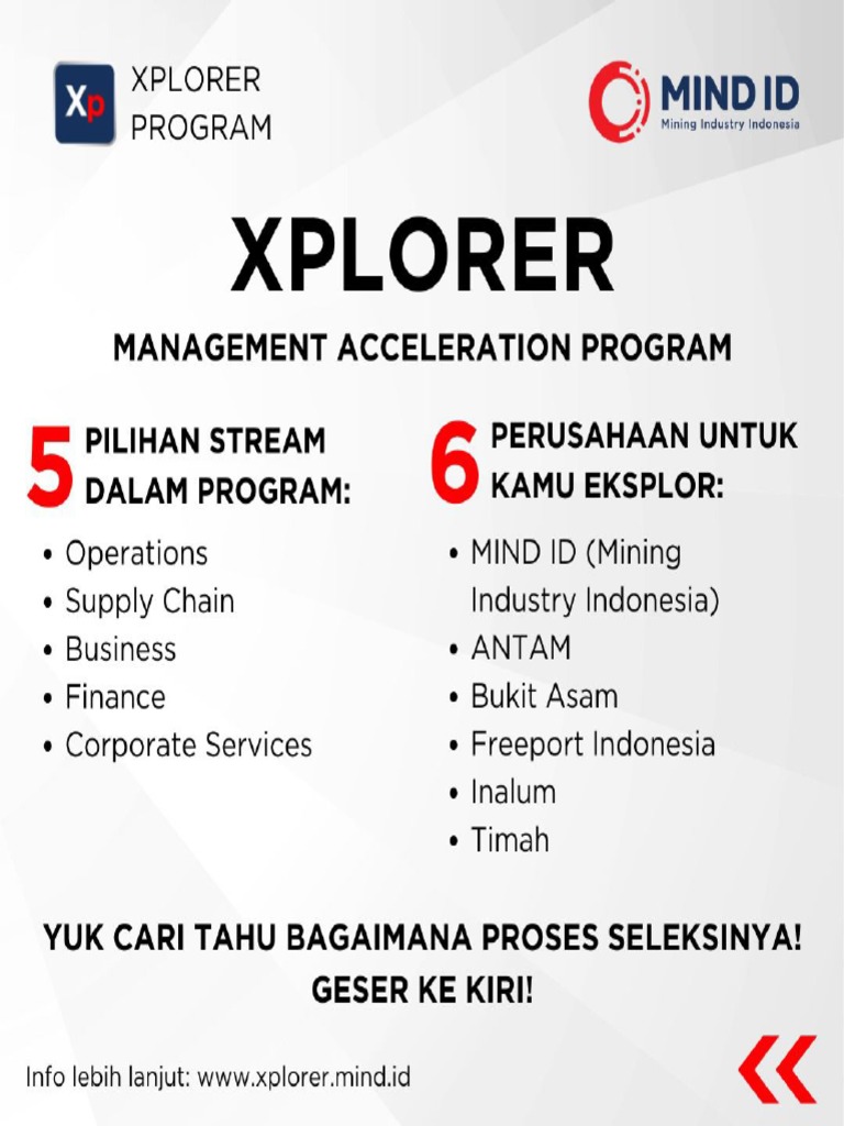 Mind Id Xplorer | PDF