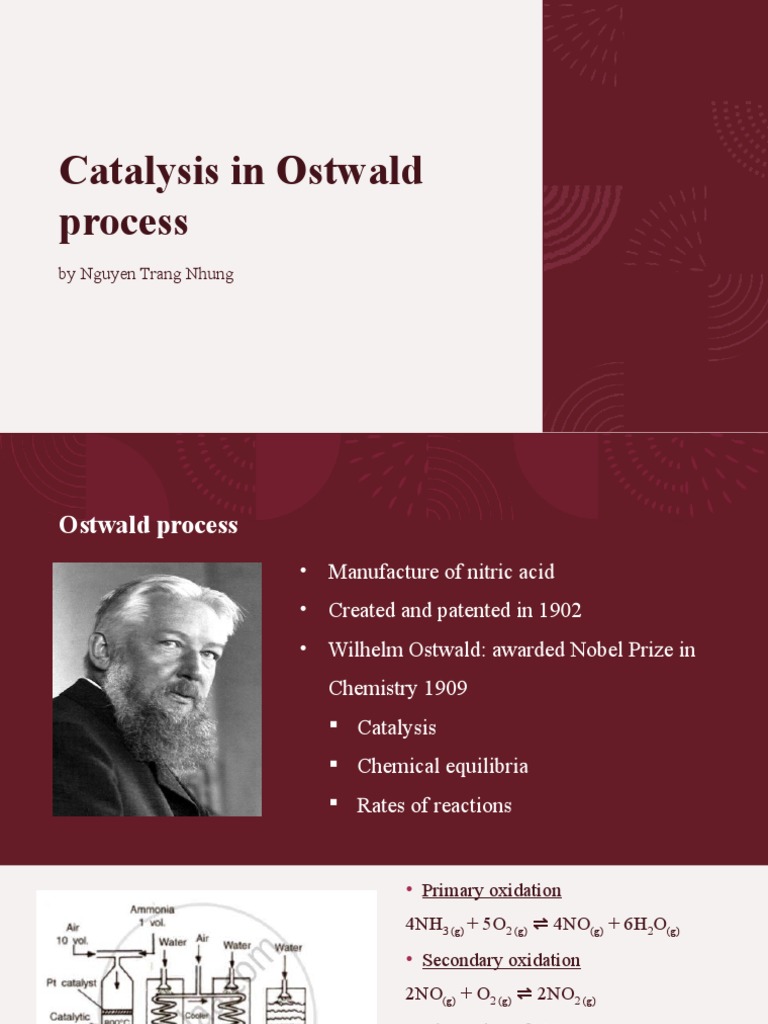 Catalysis in the Ostwald Process | PDF