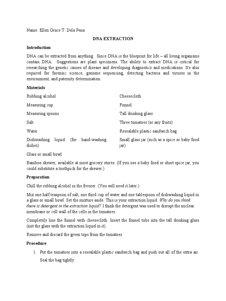 DNA EXTRACTION: Extract DNA from Tomatoes | PDF | Cell (Biology) | Cell ...