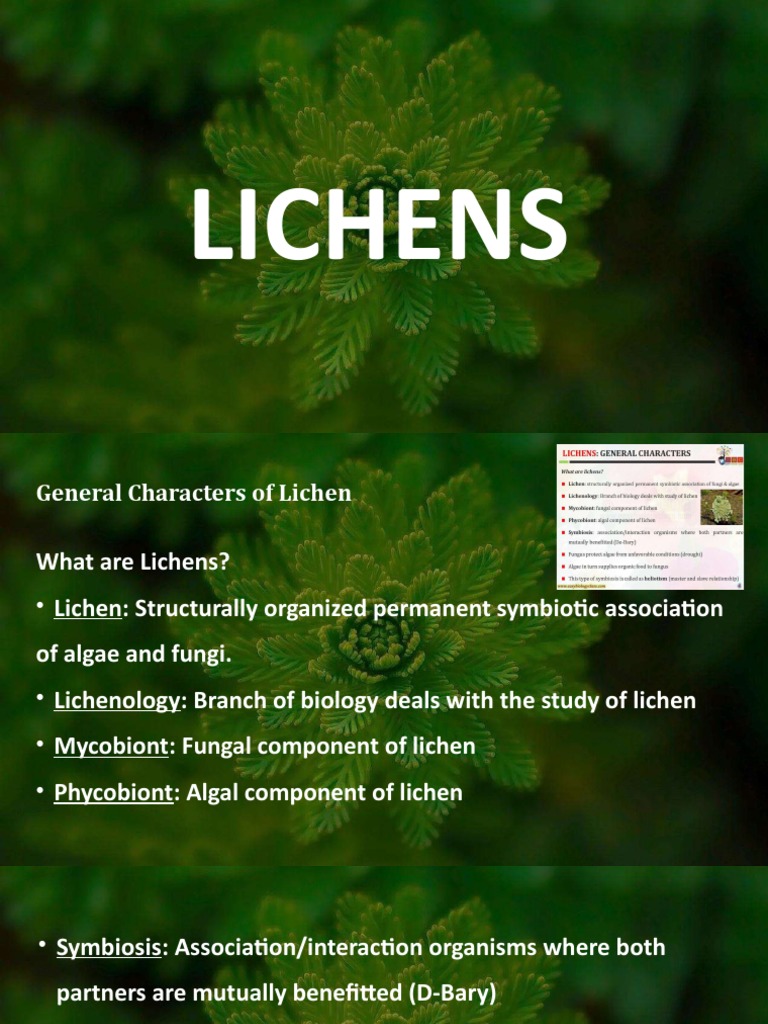 Lichens | PDF | Fungus | Algae