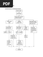 Cellulitis Pathophysiology | PDF | Inflammation | Medical Specialties