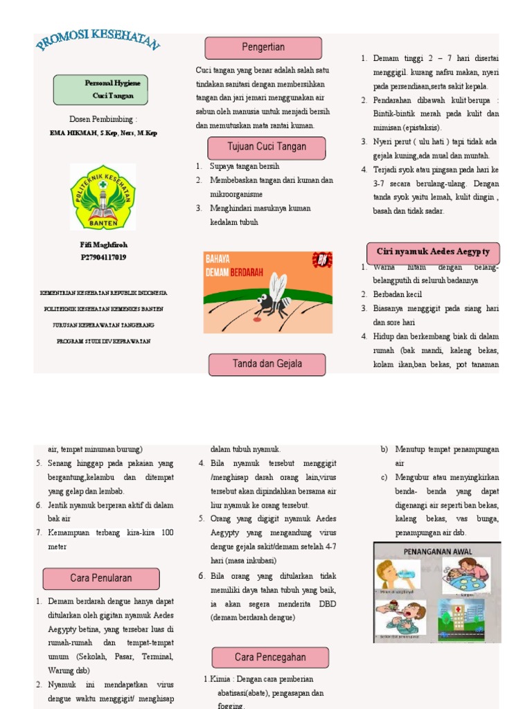 Leaflet DBD | PDF