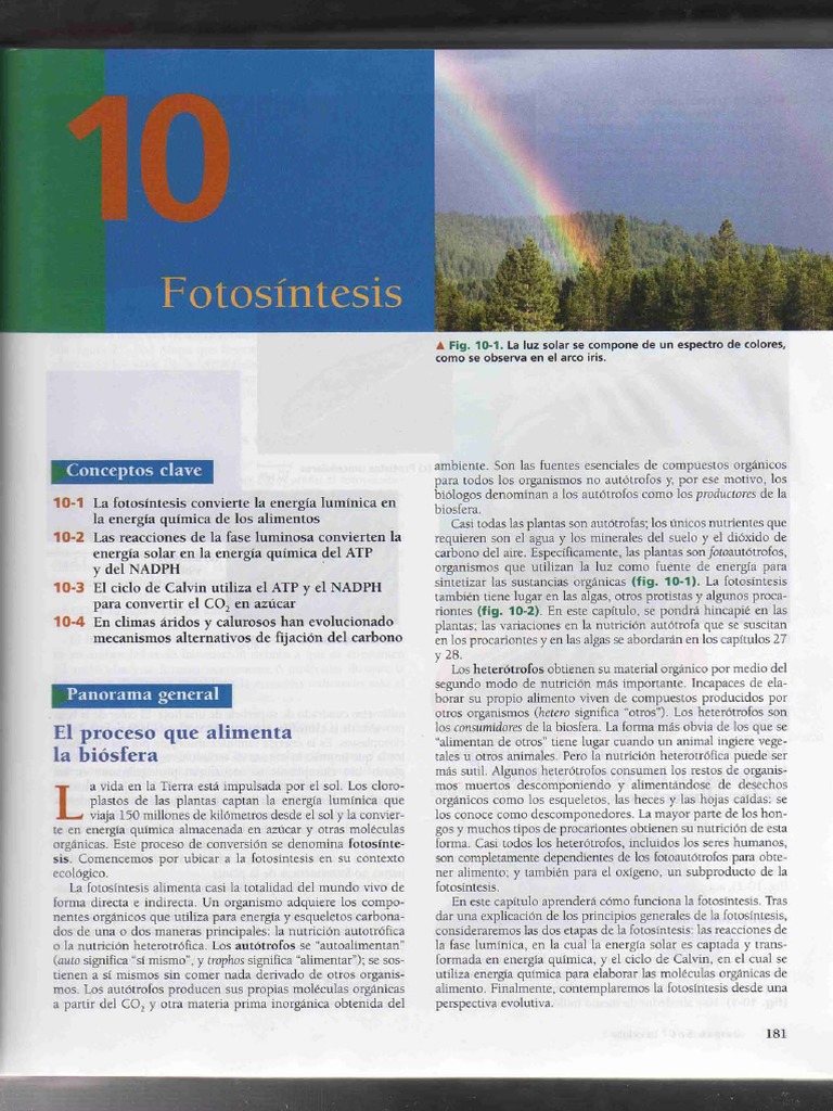 Biologia General - Campbell y Reece (Cap.10) | PDF