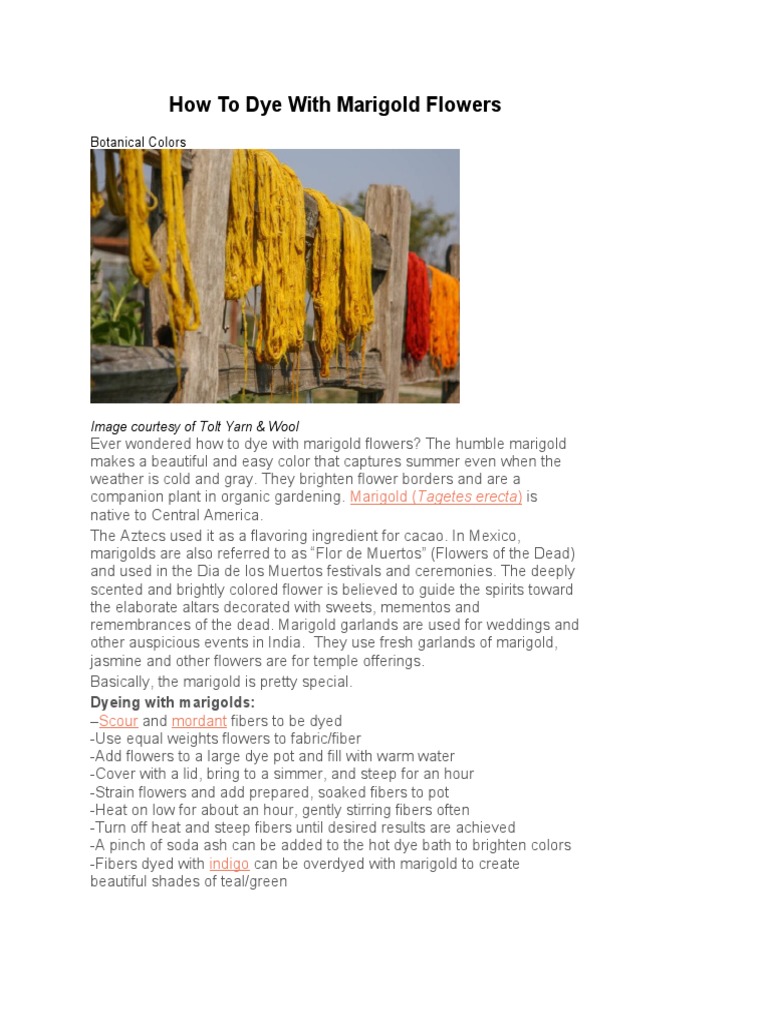 How To Dye With Marigold Flowers Botanical Colors | PDF