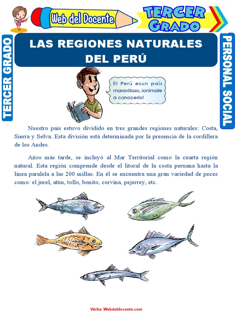 Las Regiones Naturales Del Perú para Tercer Grado de Primaria | PDF ...