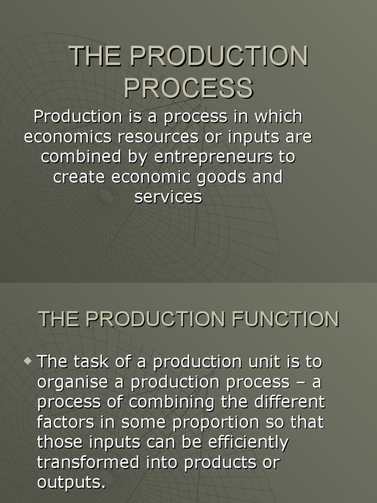 The Production Process | PDF | Production Function | Business