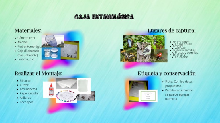 Caja Entomológica | PDF
