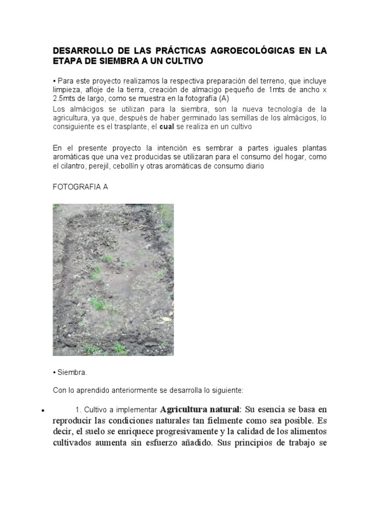 Aplicar Prácticas Agroecológicas en La Etapa de Siembra a Un Cultivo ...