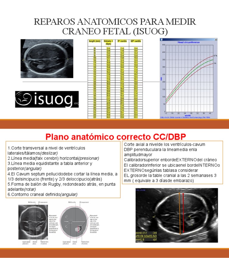 Guía de Medición Craneal Fetal | PDF