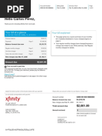 Xfinity Monthly Bill Summary 2017 | PDF | Service Industries ...