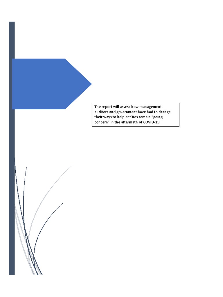 Audit Assurance Assignment Going Concern Highlighted | PDF | Going Concern | Audit