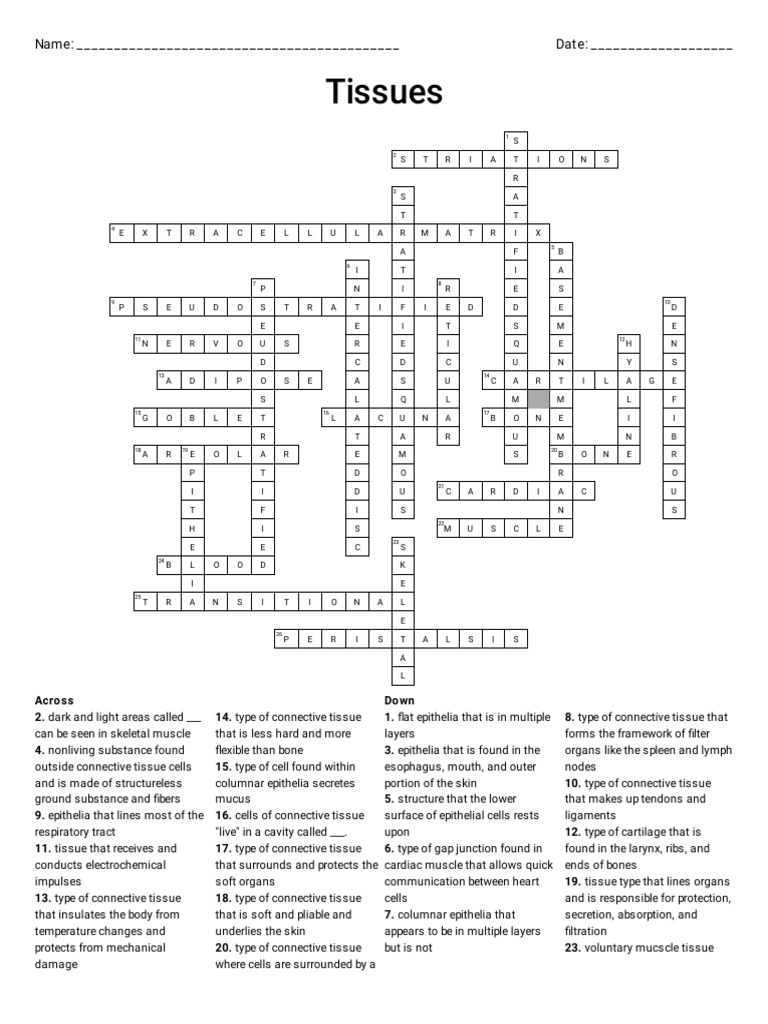 Tissue Types Crossword Puzzle | PDF | Epithelium | Tissue (Biology)