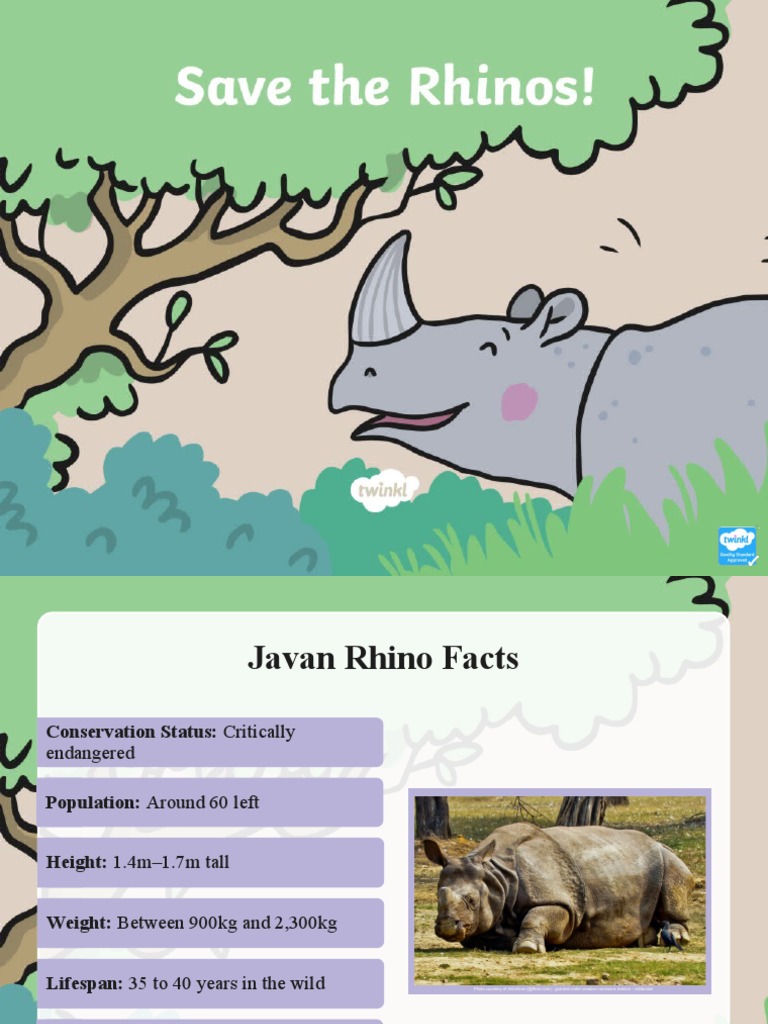 T L 52270 Save The Rhinos Persuasive Writing Powerpoint - Ver - 1 | PDF ...