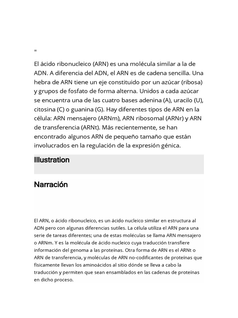 El ARN | PDF | Ciencia y matemáticas