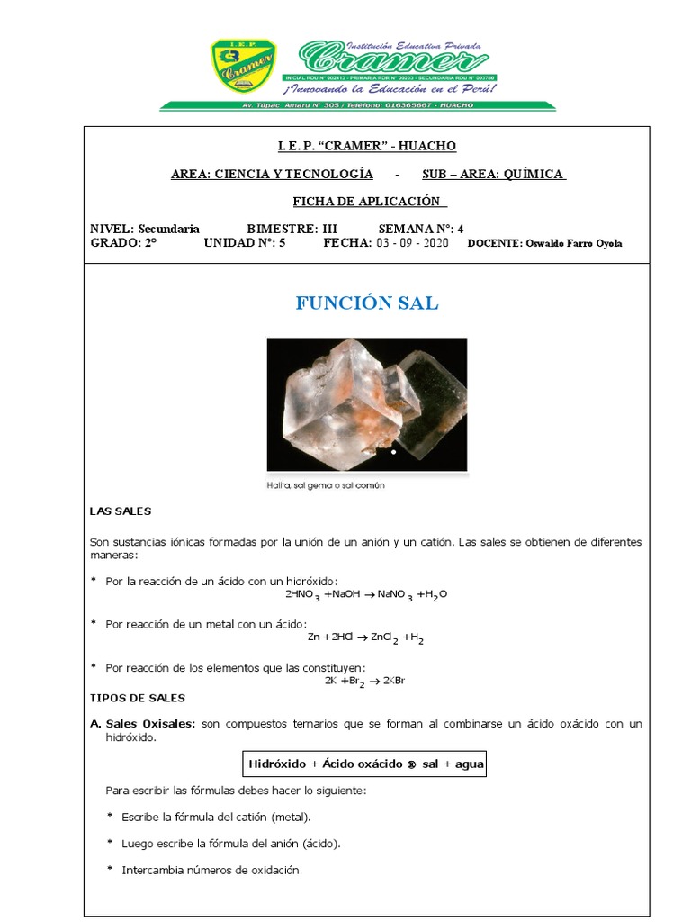 20 Funcion Sal | PDF | Sal (química) | Hidróxido