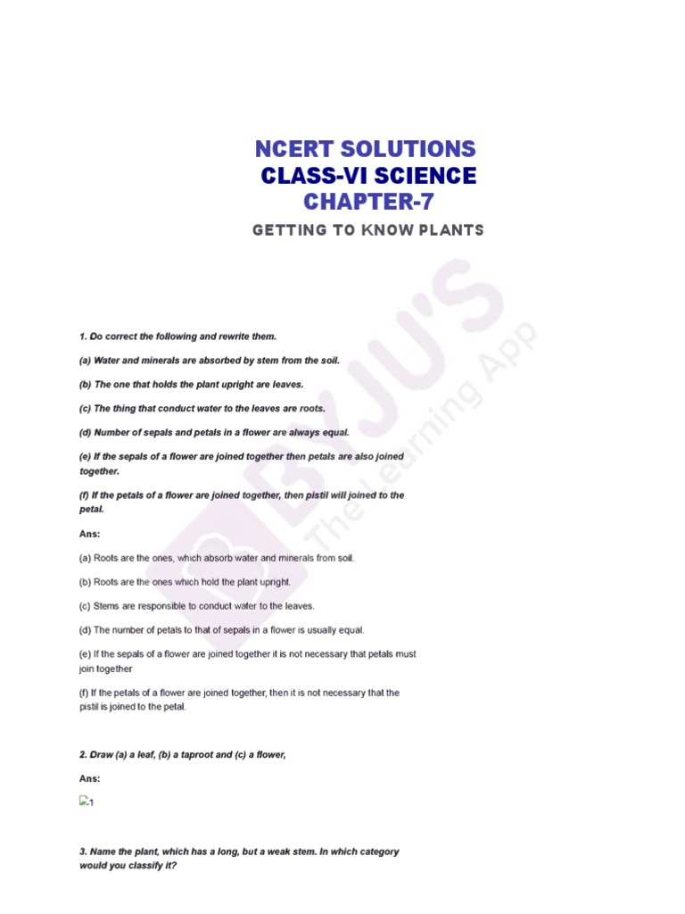 Ncert Solutions Chapter-7: Class-Vi Science | PDF | Leaf | Flowers