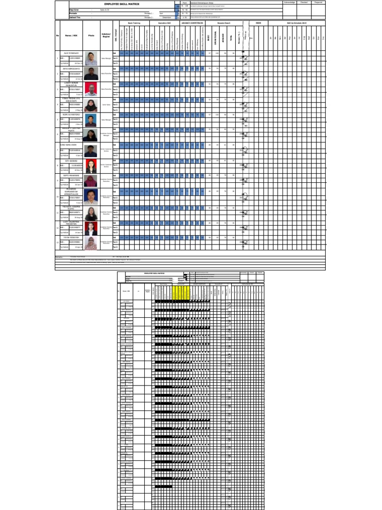 Employee Skill Matrix Overview | PDF | Business