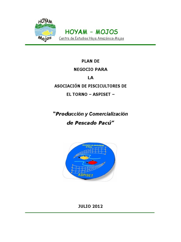 Hoyam Costos 2 | PDF | Producto (Negocio) | Marketing