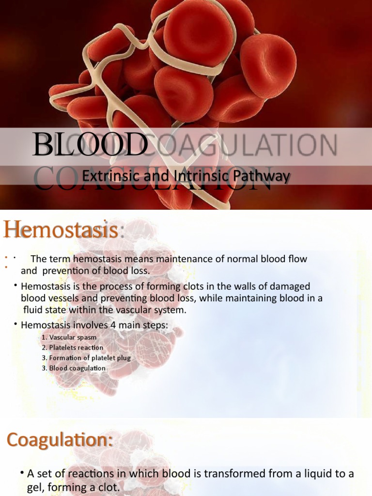 Blood Coagulation: Extrinsic and Intrinsic Pathway | PDF | Coagulation ...